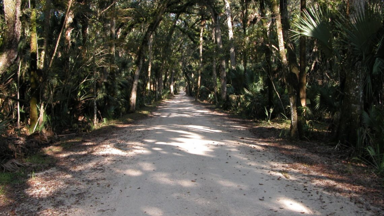 Strange Florida