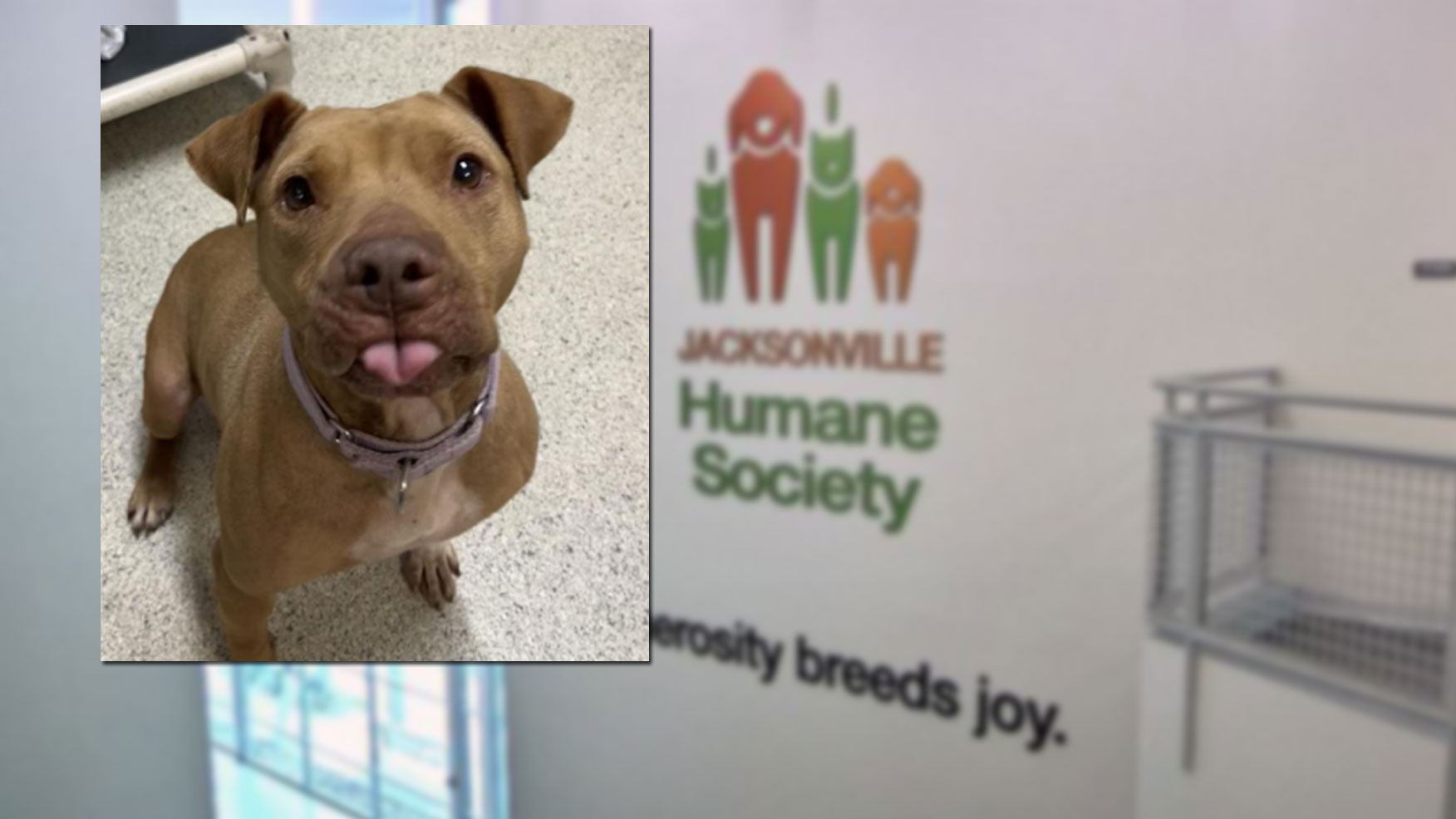 Jennifer Mohn's Instagram, Twitter & Facebook on IDCrawl