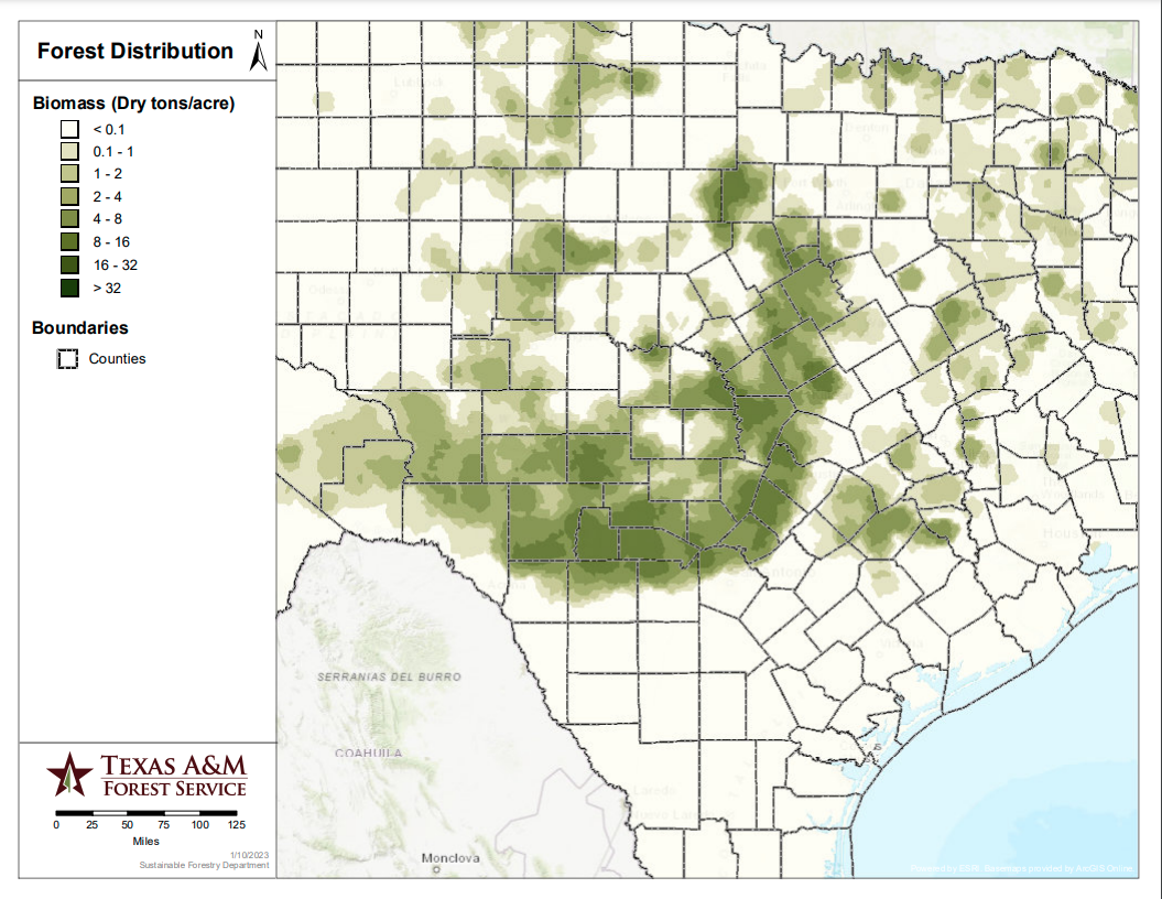 Cedar Trees In Texas Map Juniperus Ashei (mountain Cedar) Description