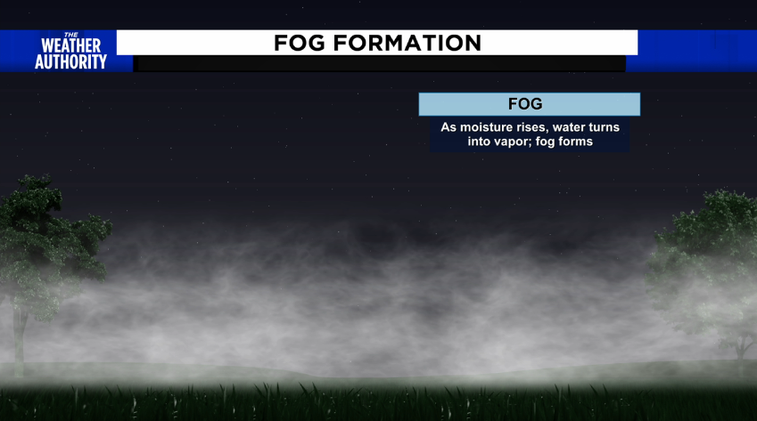 Fog Weather