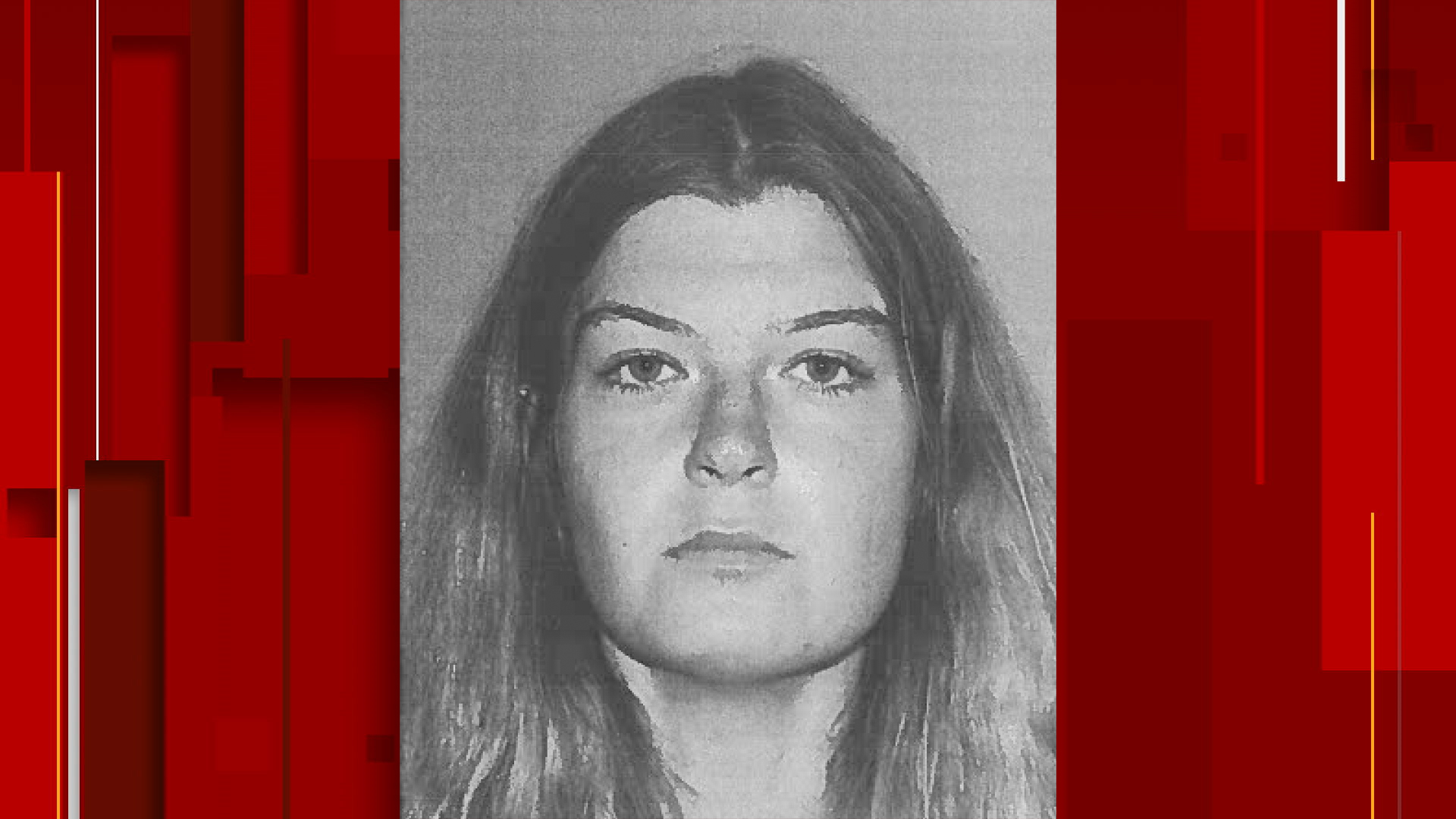 Ken Batchelor's Instagram, Twitter & Facebook on IDCrawl