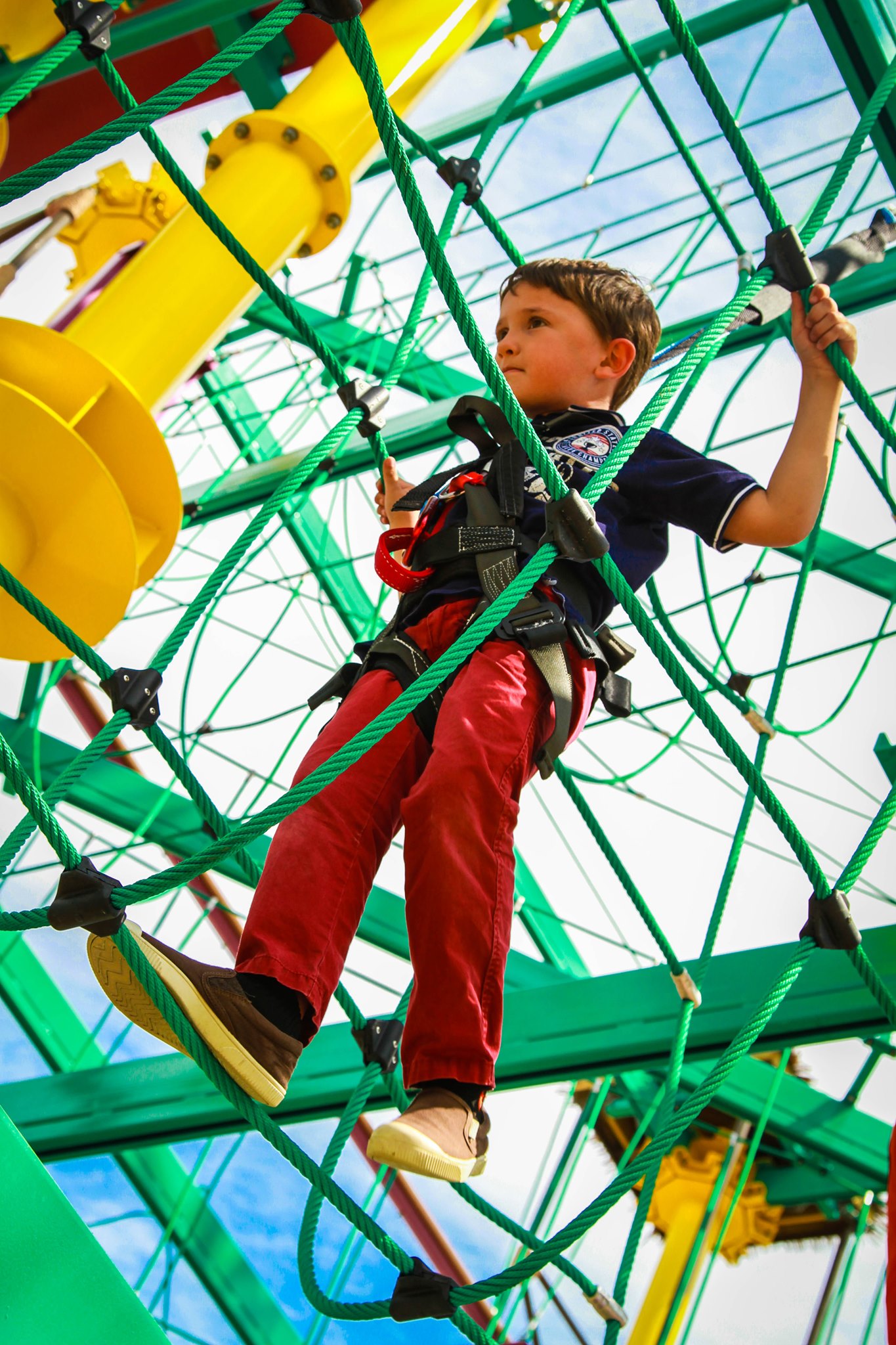 Moody Gardens Zip Line | Fasci Garden