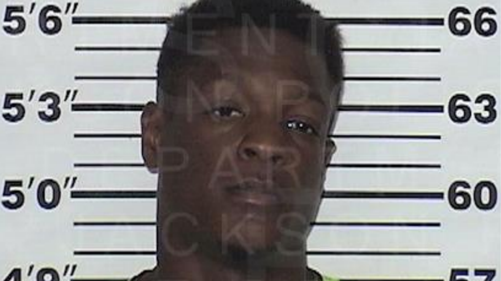 Shell Jackson's Instagram, Twitter & Facebook on IDCrawl