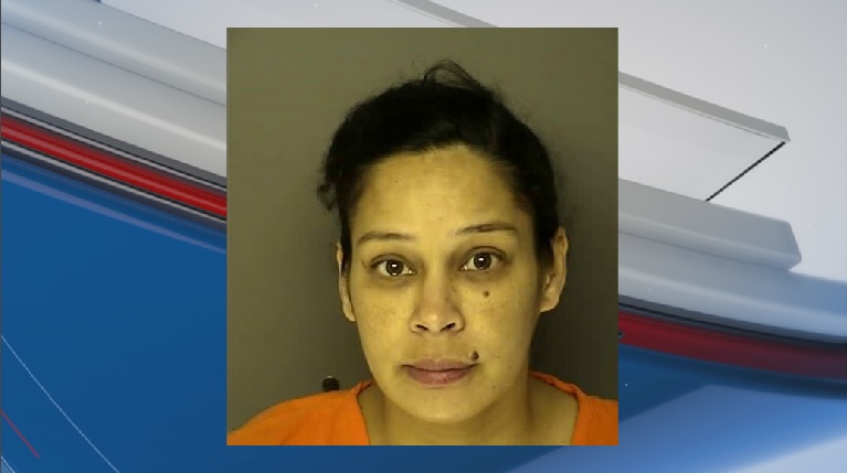 Elizabeth Lush's Instagram, Twitter & Facebook on IDCrawl