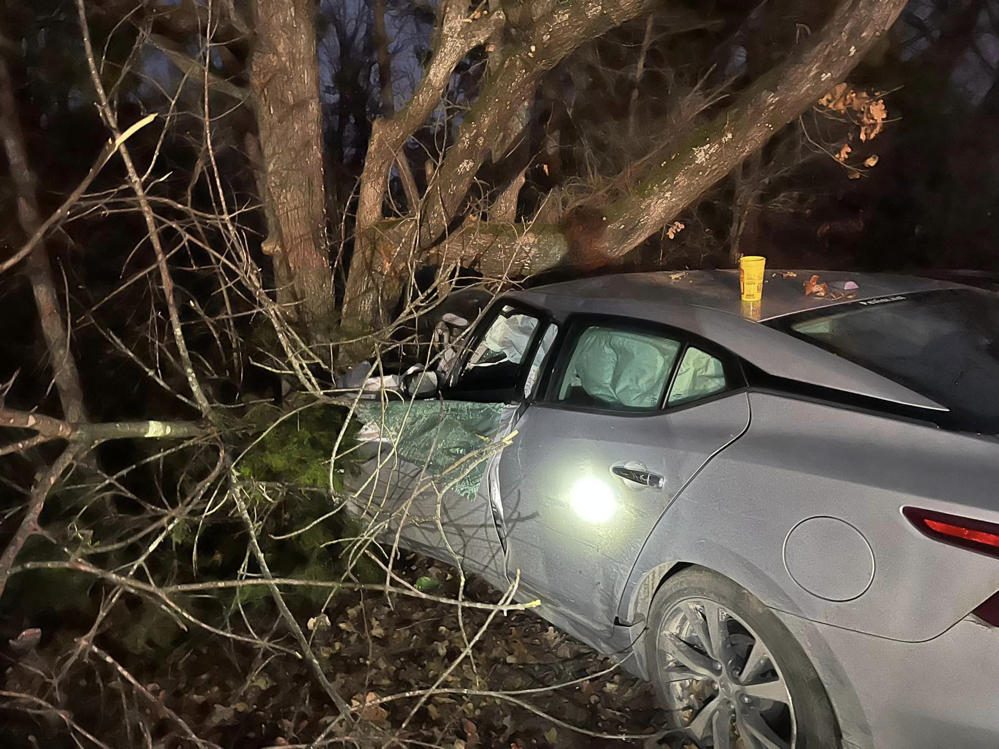 Car Hits Tree