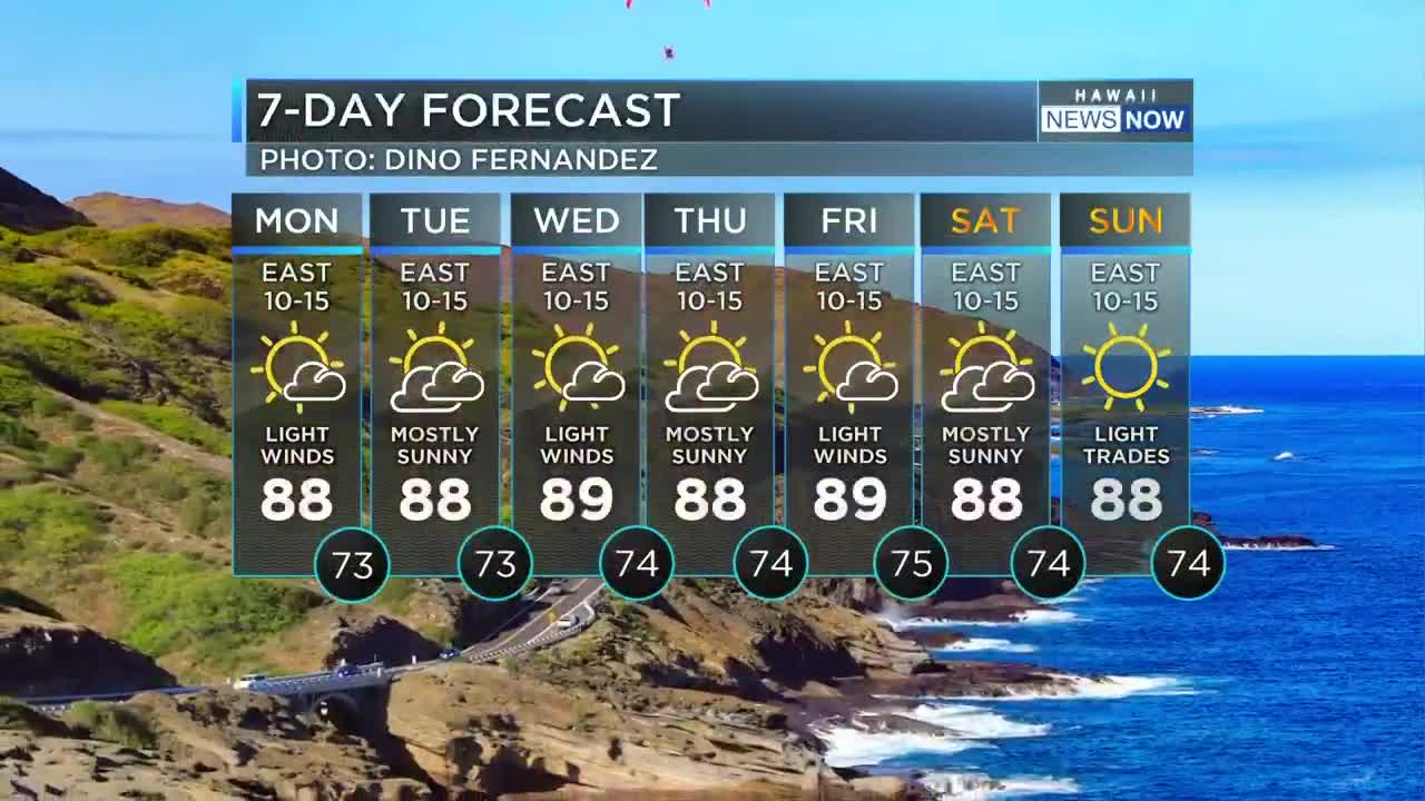 7 Day Weather Forecast Summer