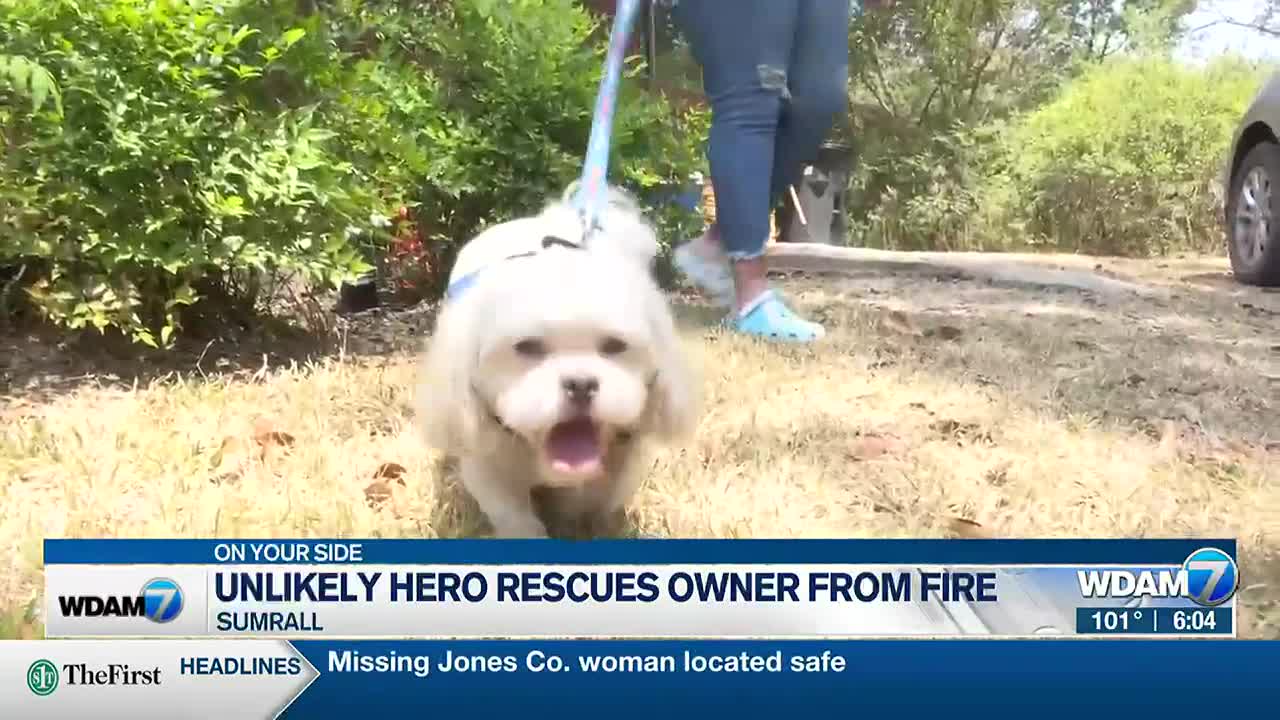 Dog Saves Owners Life