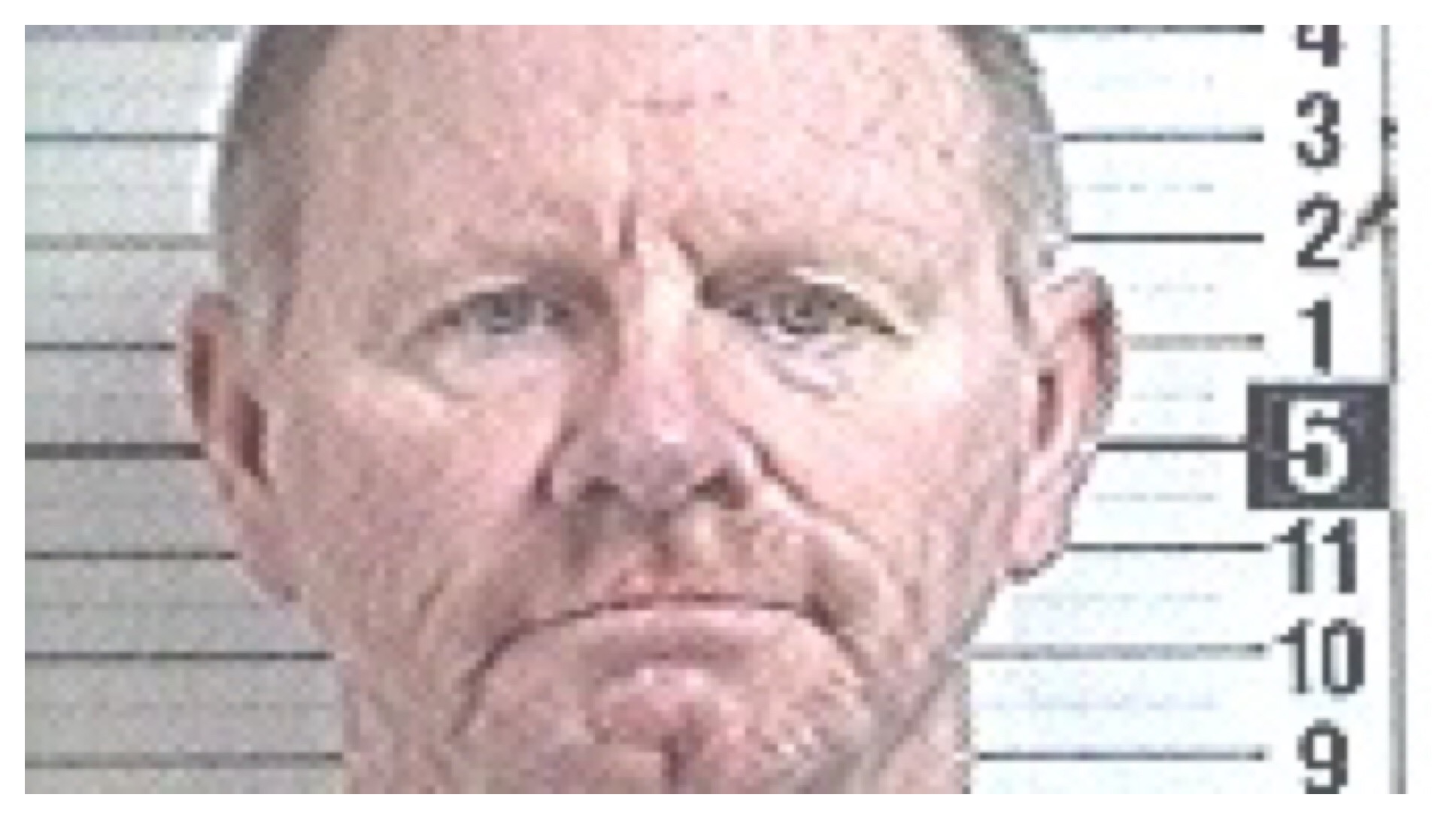 Elise Whitehead's Instagram, Twitter & Facebook on IDCrawl