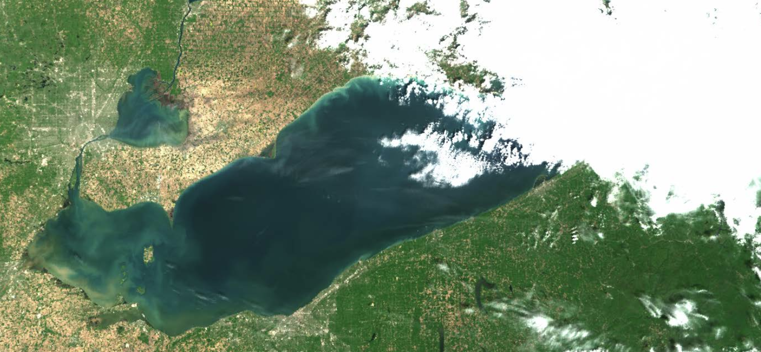 Lake Erie Algae Bloom Satellite