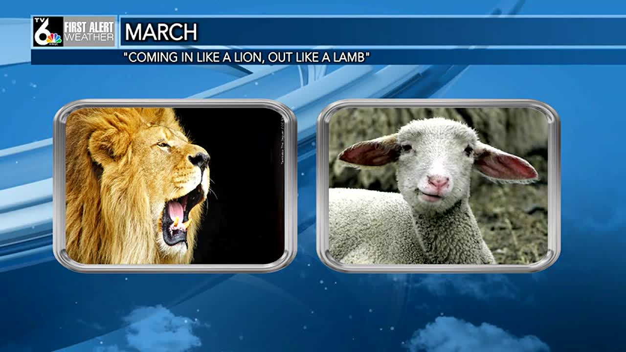 March Lion & Lamb Cartoons