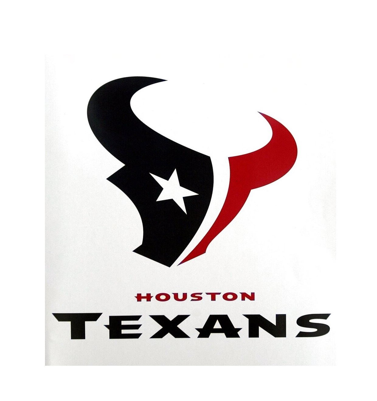 Texans Logo 1970