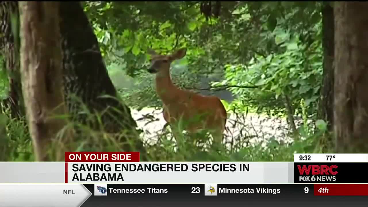Endangered Species News