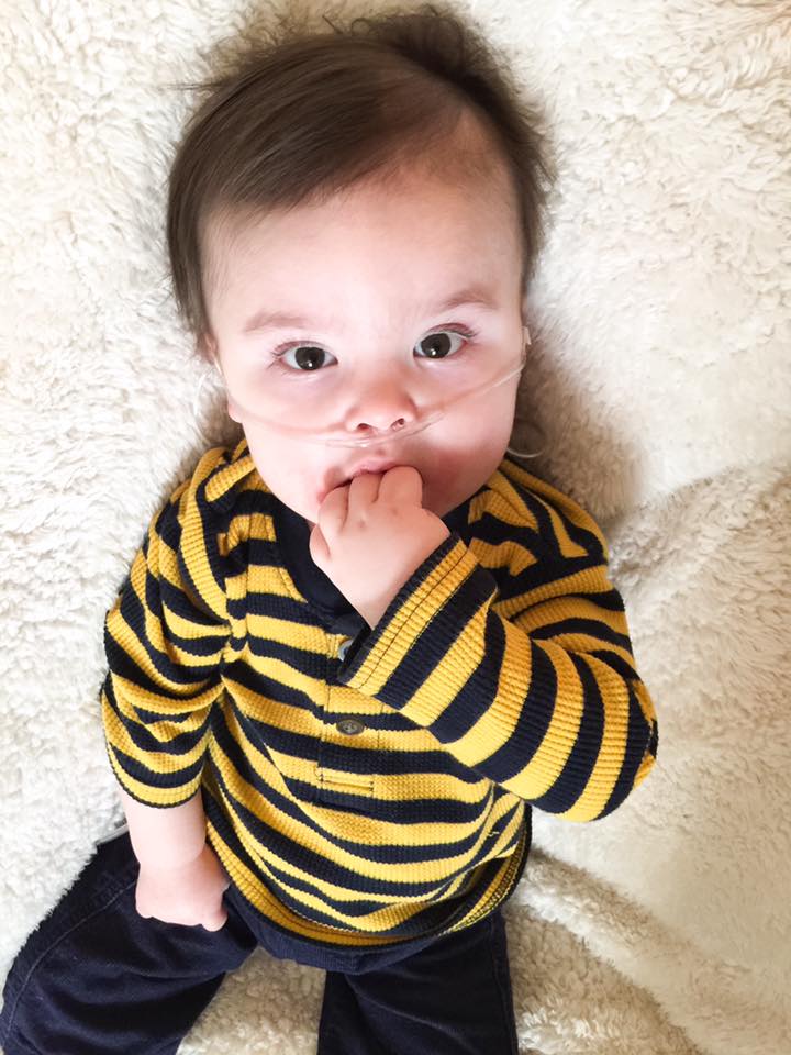 Payton Stanley's Instagram, Twitter & Facebook on IDCrawl