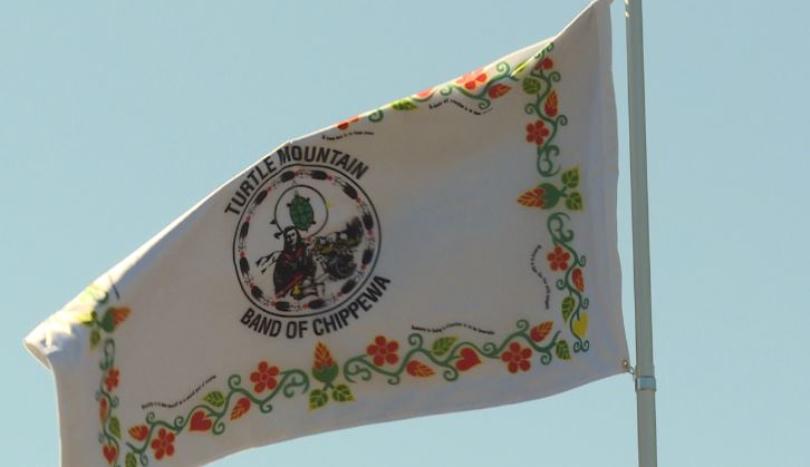 Chippewa Indian Tribe Flag