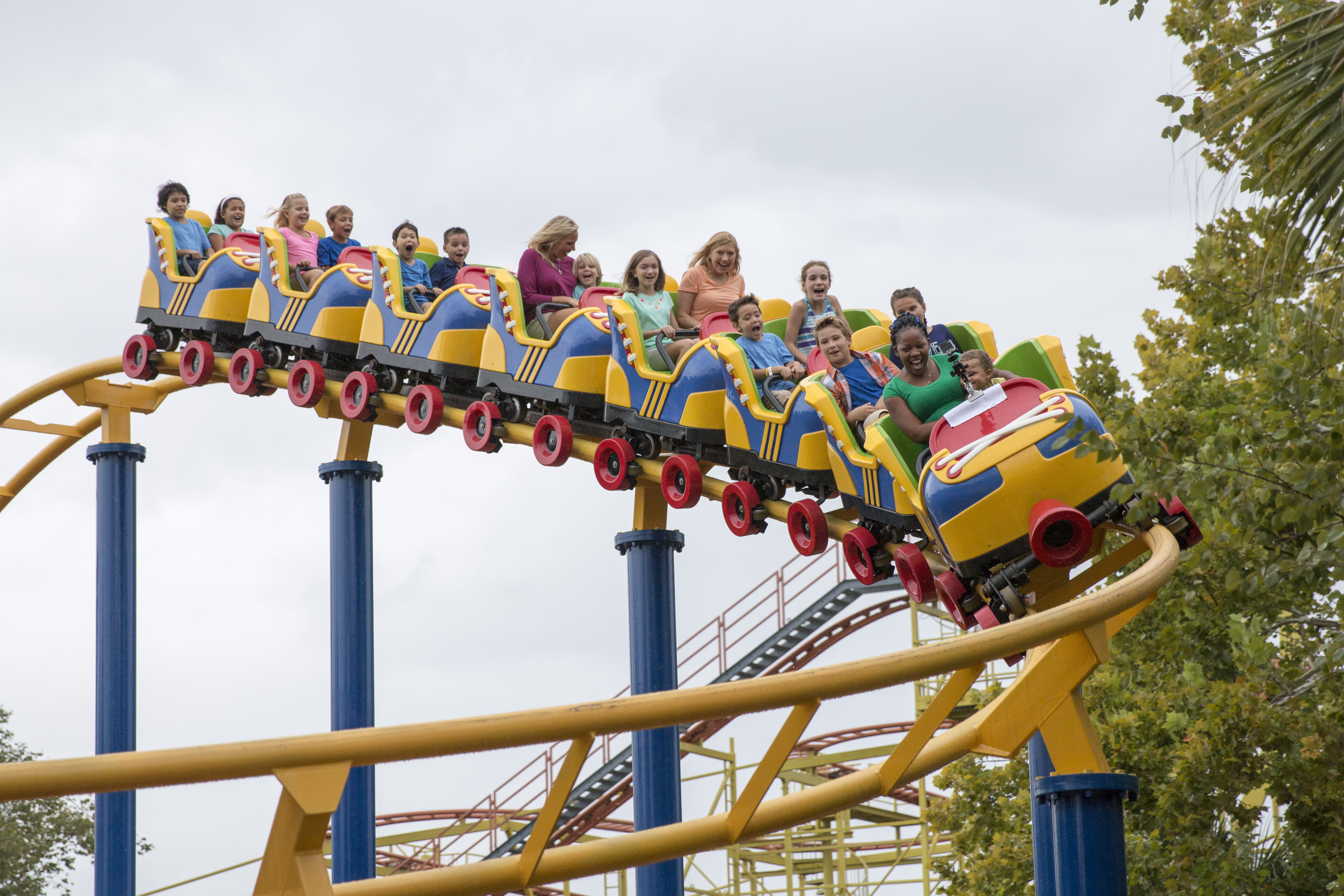Wild Adventures Ga