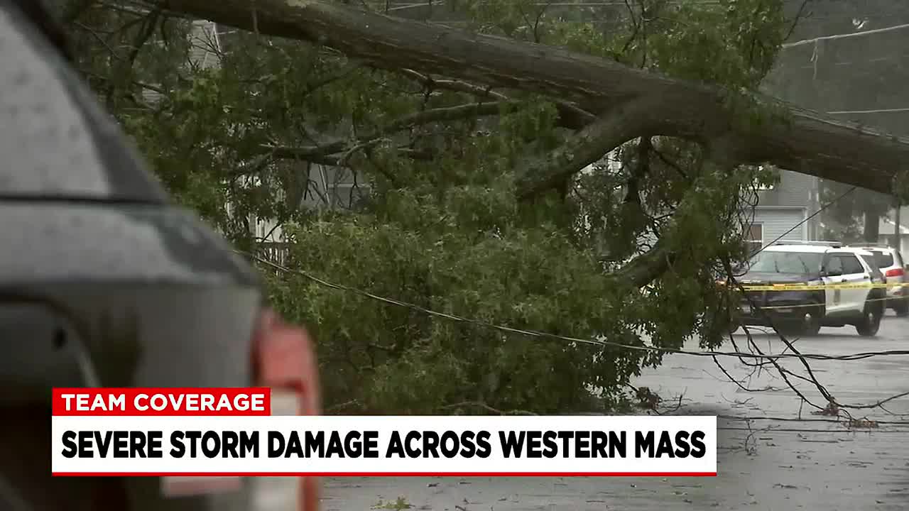 Severe Thunderstorm Damage