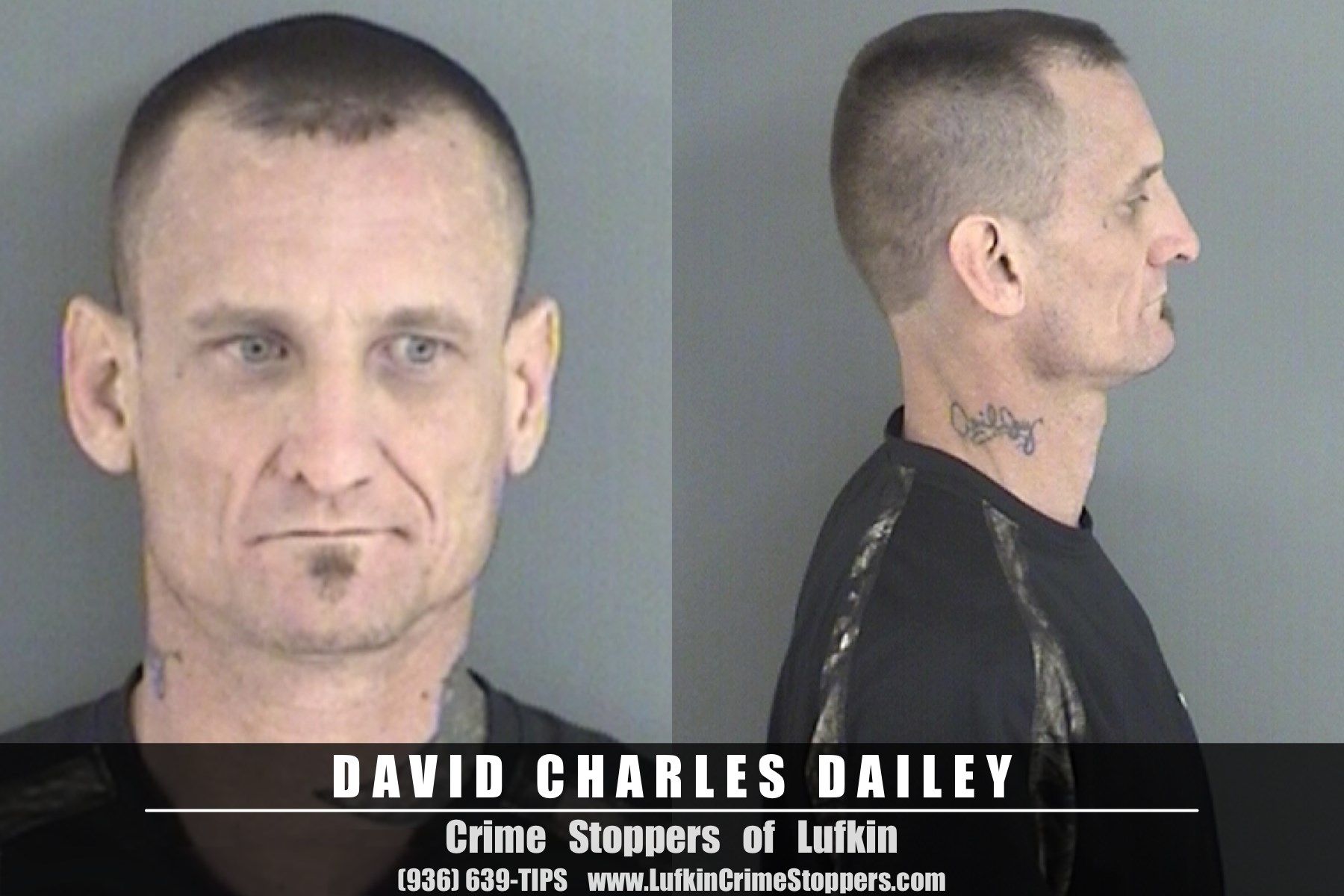 David Dailey's Instagram, Twitter & Facebook on IDCrawl