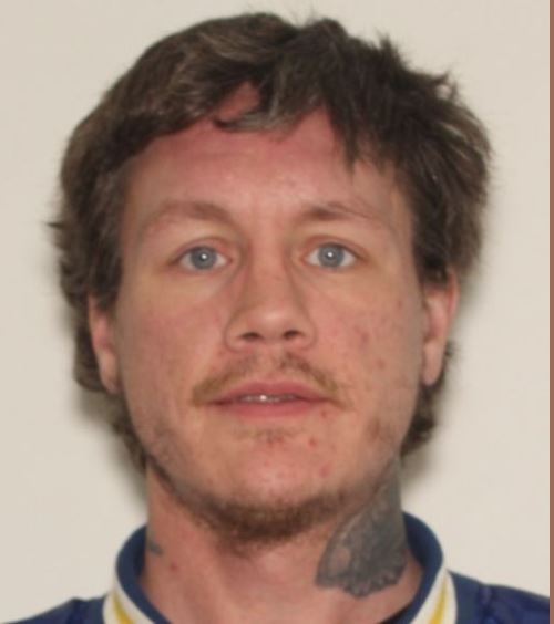 Ray Seitz's Instagram, Twitter & Facebook on IDCrawl