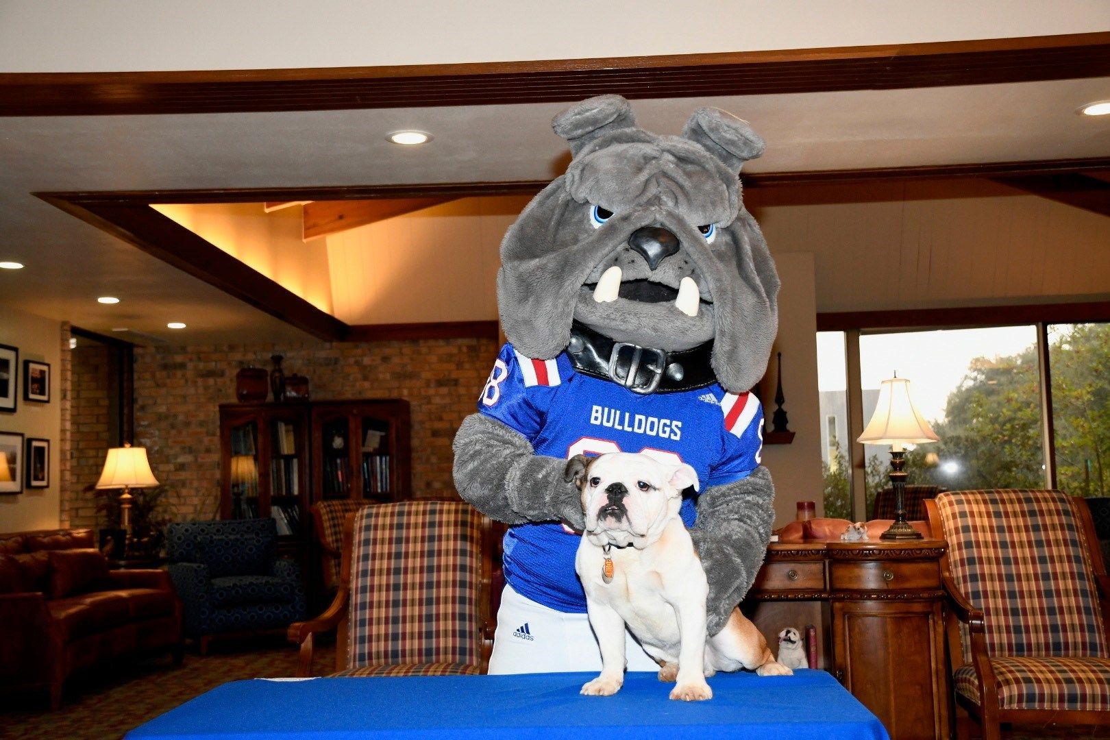 Louisiana Tech University Mascot Maine Vs. Louisiana Tech