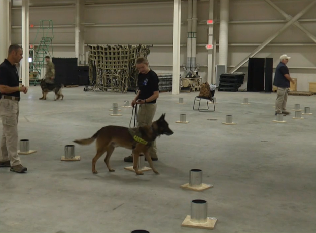 Military K-9 Teams Take Explosive Detection Test