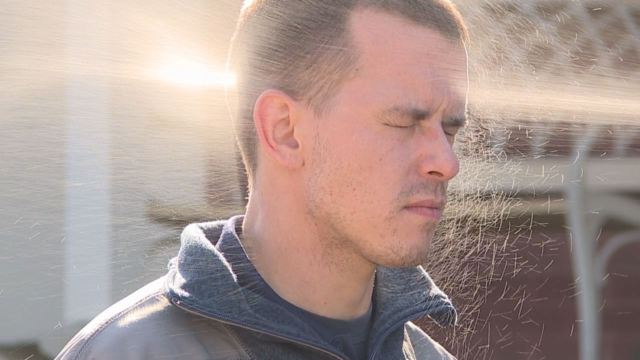 Tracy Bellamy's Instagram, Twitter & Facebook on IDCrawl