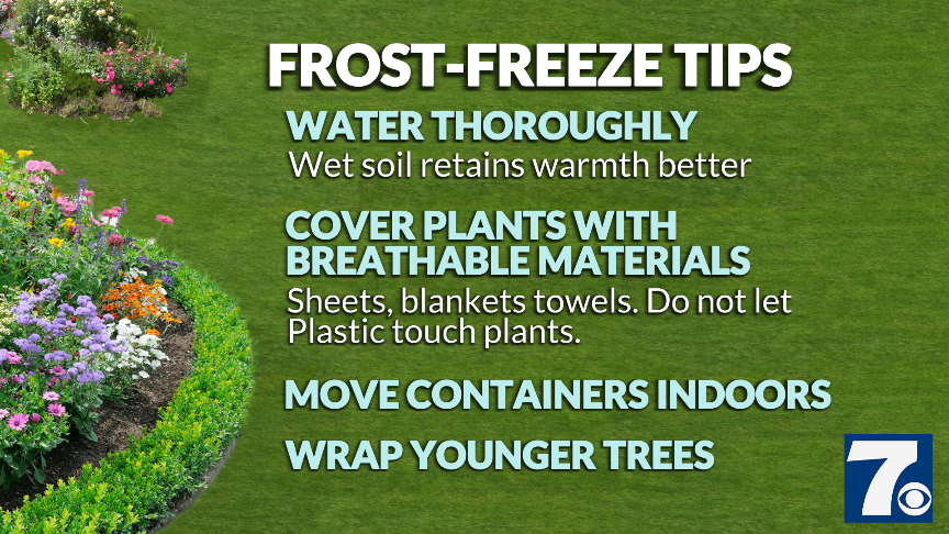Covering Your Plants For Freeze