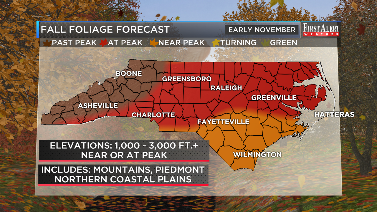 North Carolina Fall Foliage Map An Interactive Map That Helps Predict