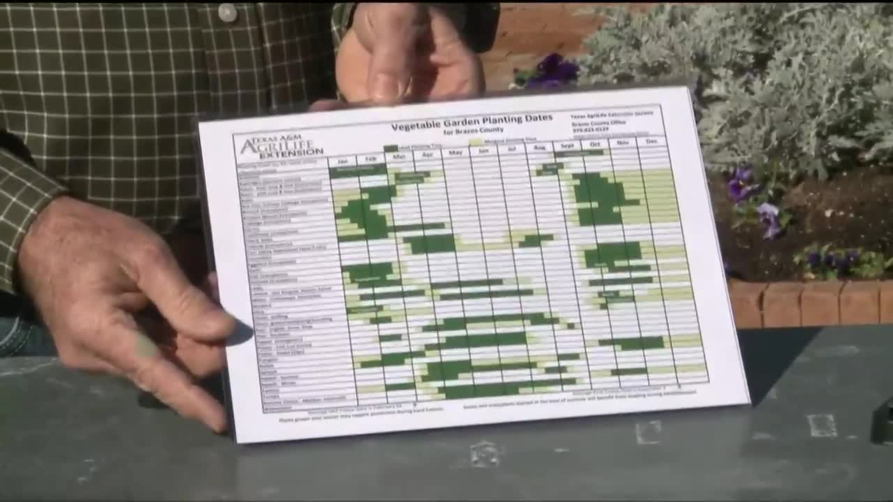 East Texas Planting Guide