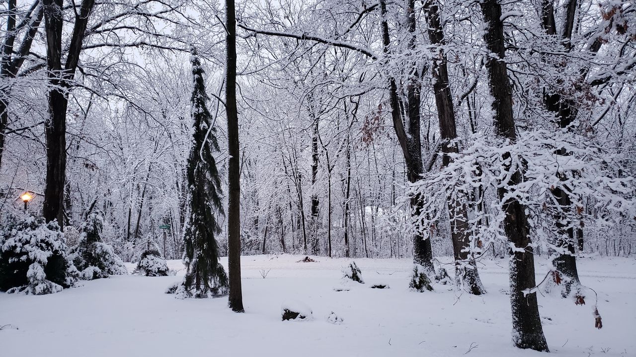 December Snow Wallpaper