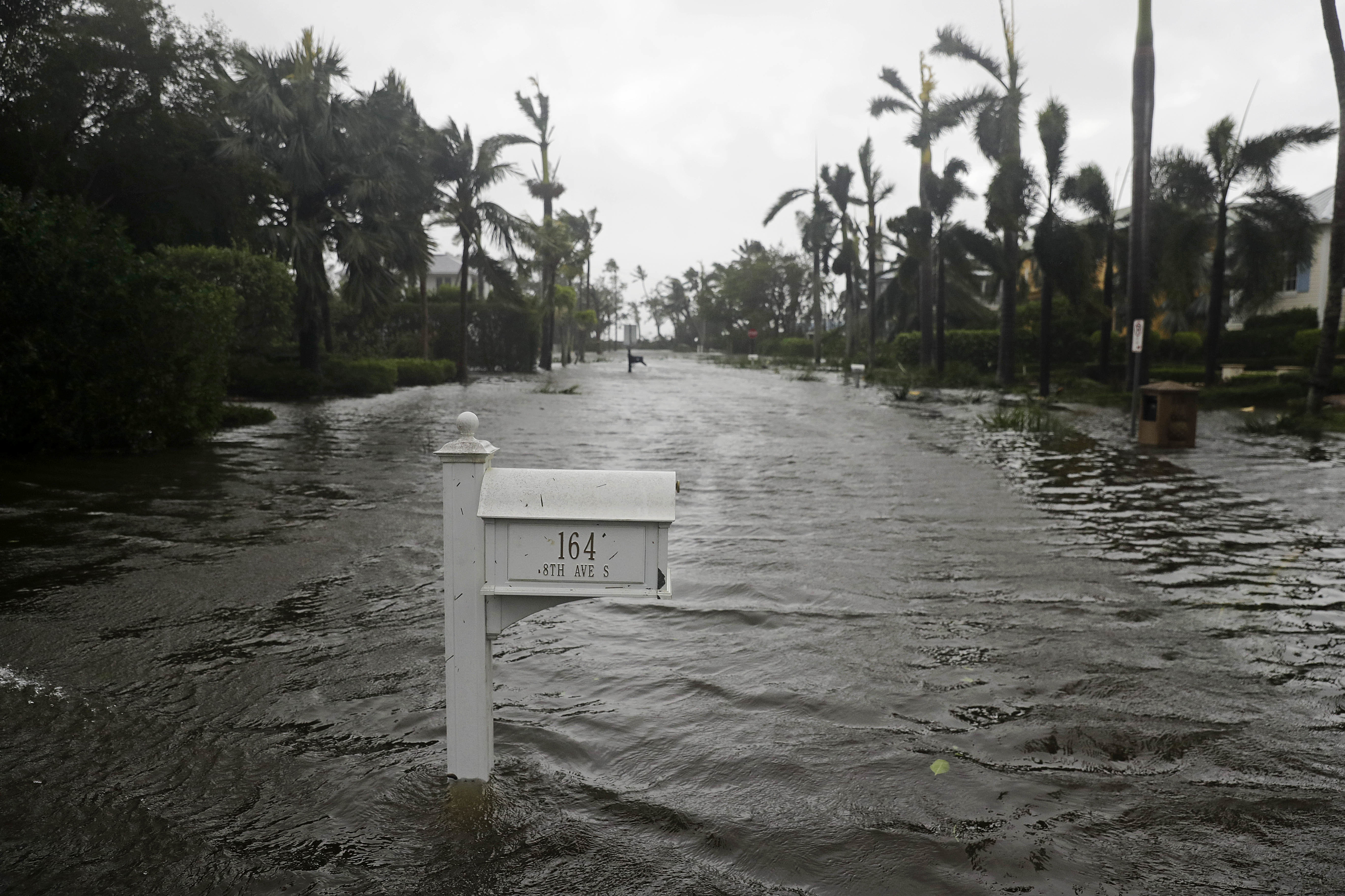 Naples Florida Hurricane