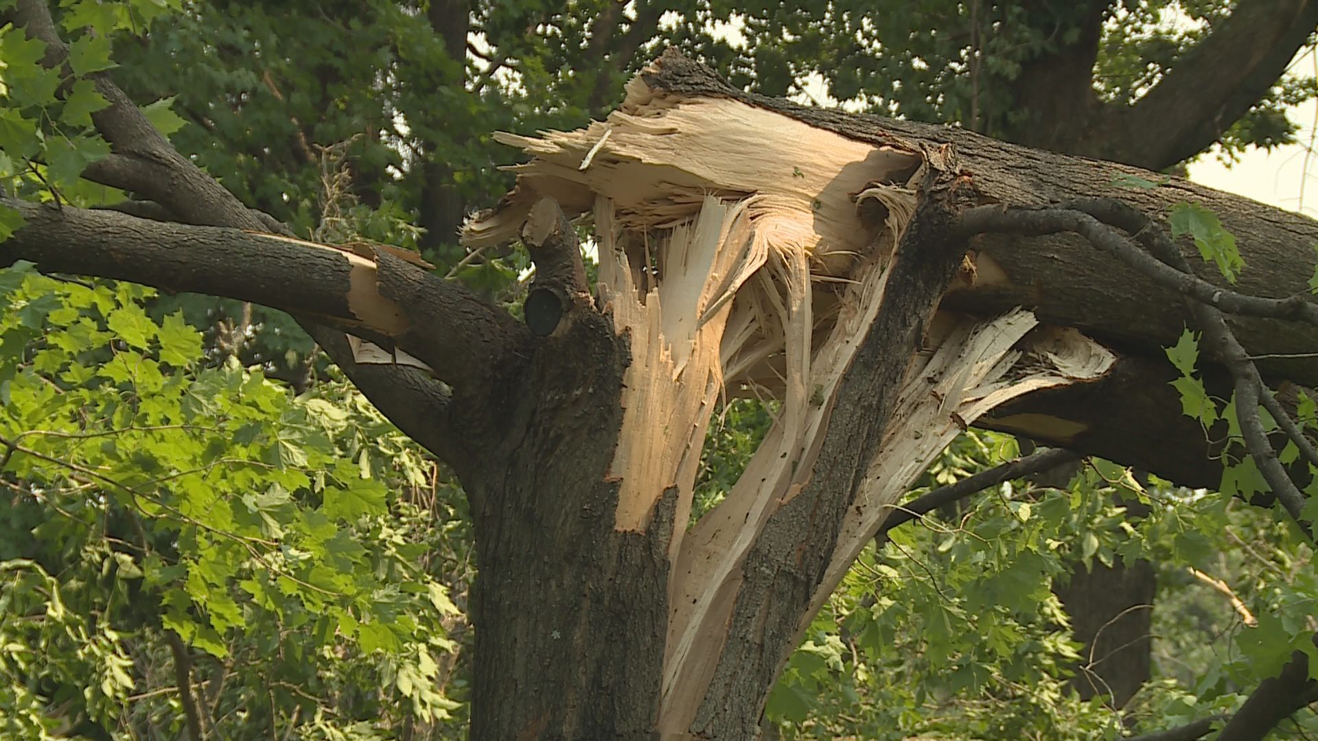 John Uttech's Instagram, Twitter & Facebook on IDCrawl