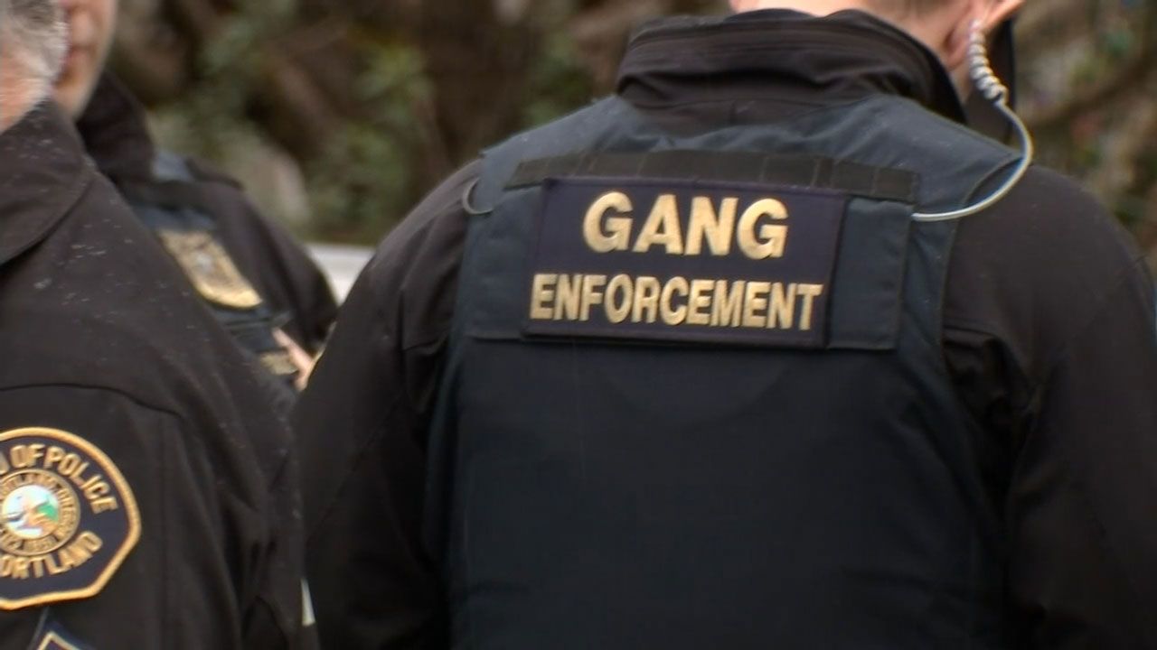 Law Enforcement VS Gang Enforcement...? Why? : r/shittyaskreddit