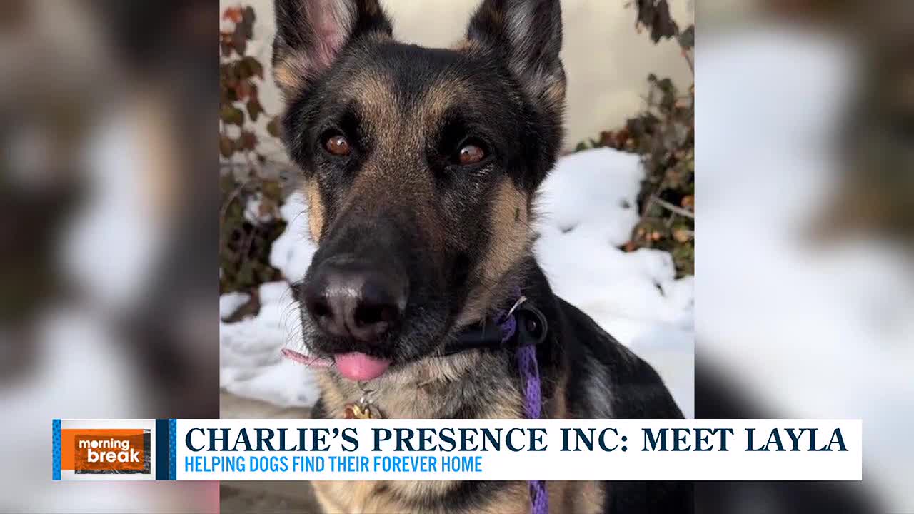 Brandon Cartlidge's Instagram, Twitter & Facebook on IDCrawl