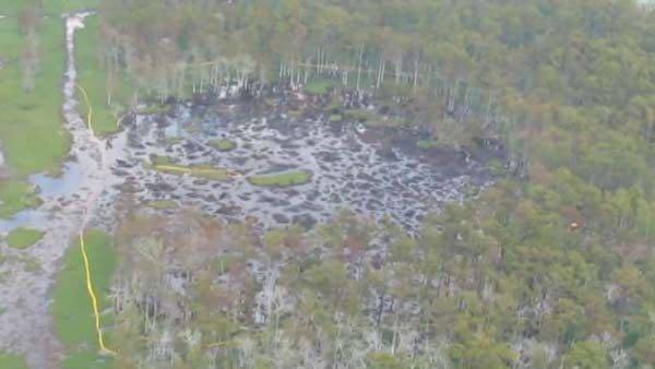 Louisiana Swamps Sinkhole