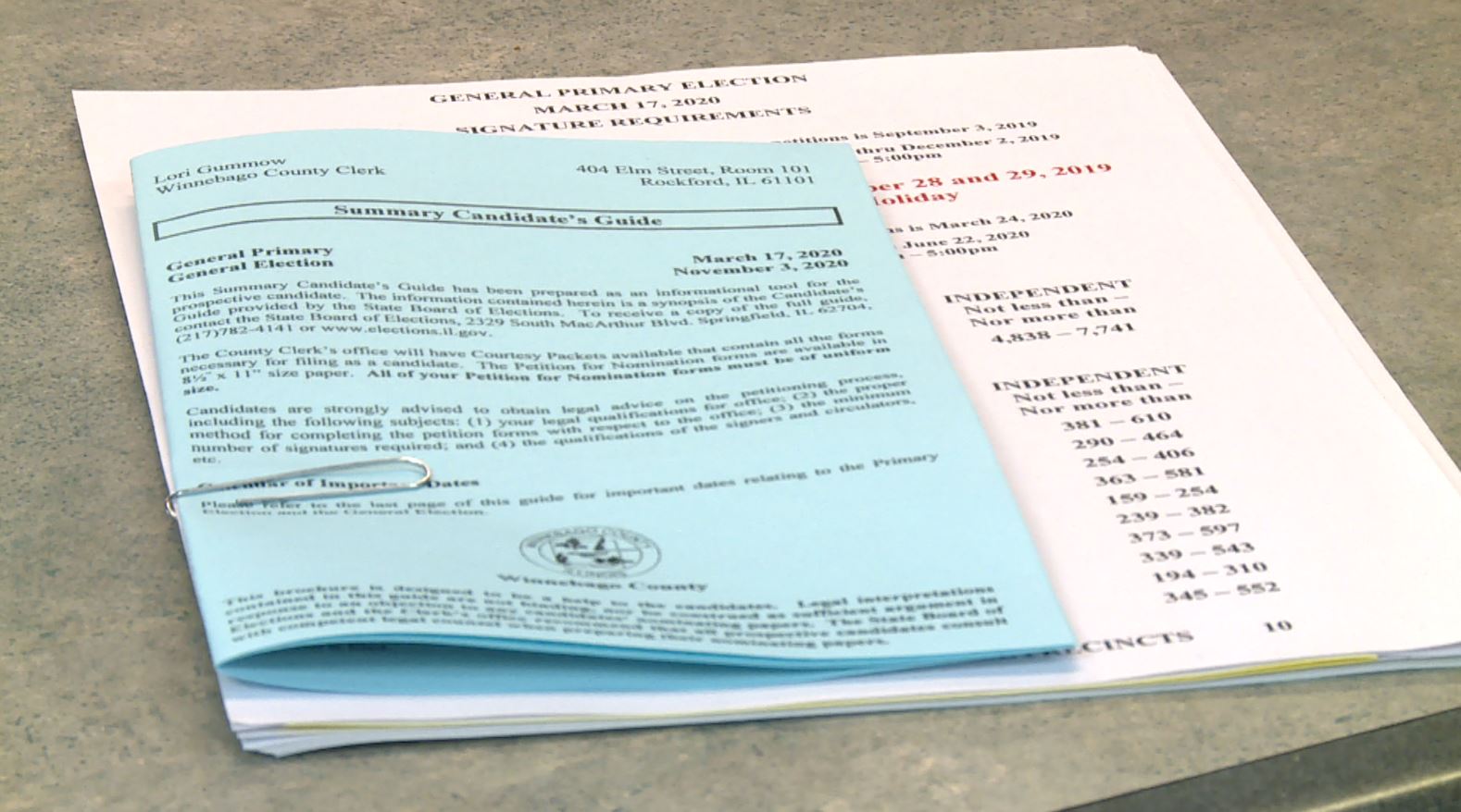 General Election Petition