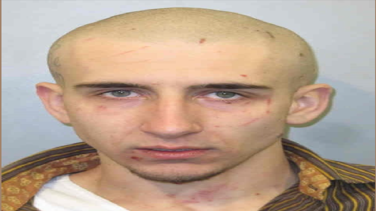 Dylan Randall's Instagram, Twitter & Facebook on IDCrawl