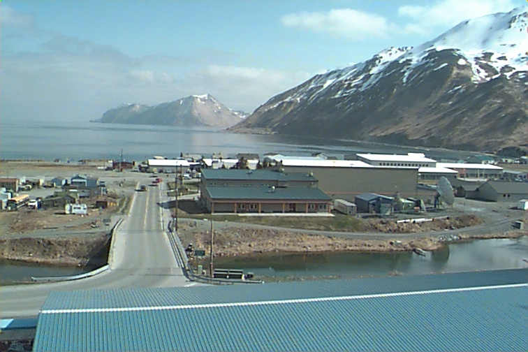Unisea Dutch Harbor Things To Do In Dutch Harbor In 2025 Top