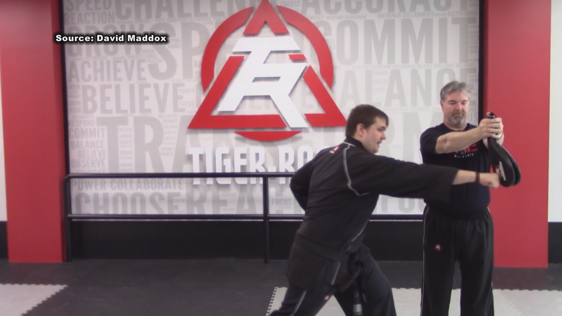 Tiger Rock Martial Arts Logo