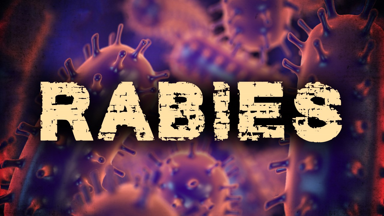 Rabies Patient Video