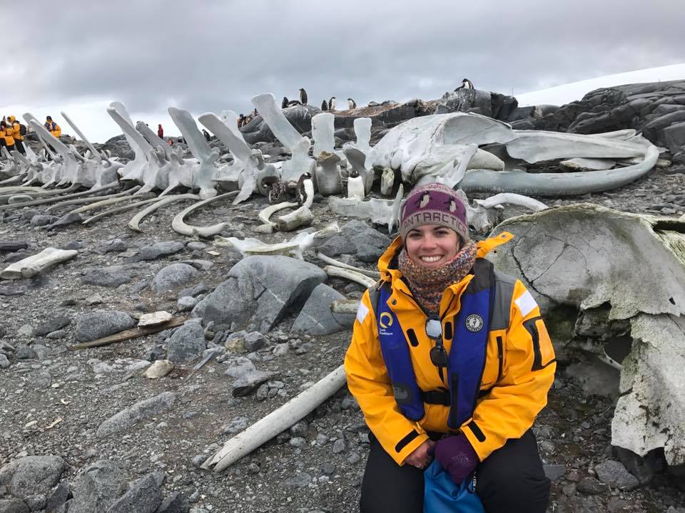 Jamie Ginn's Instagram, Twitter & Facebook on IDCrawl