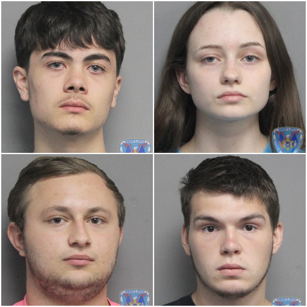 Logan Jackson's Instagram, Twitter & Facebook on IDCrawl