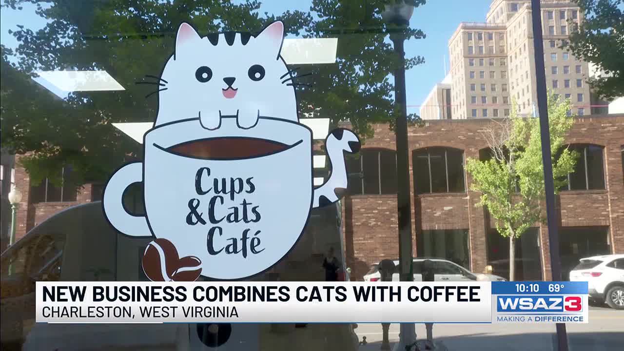 Cats Coffee