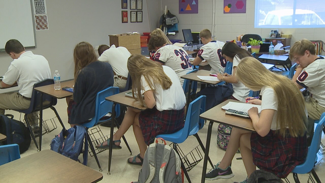 Middle School Whale Tail