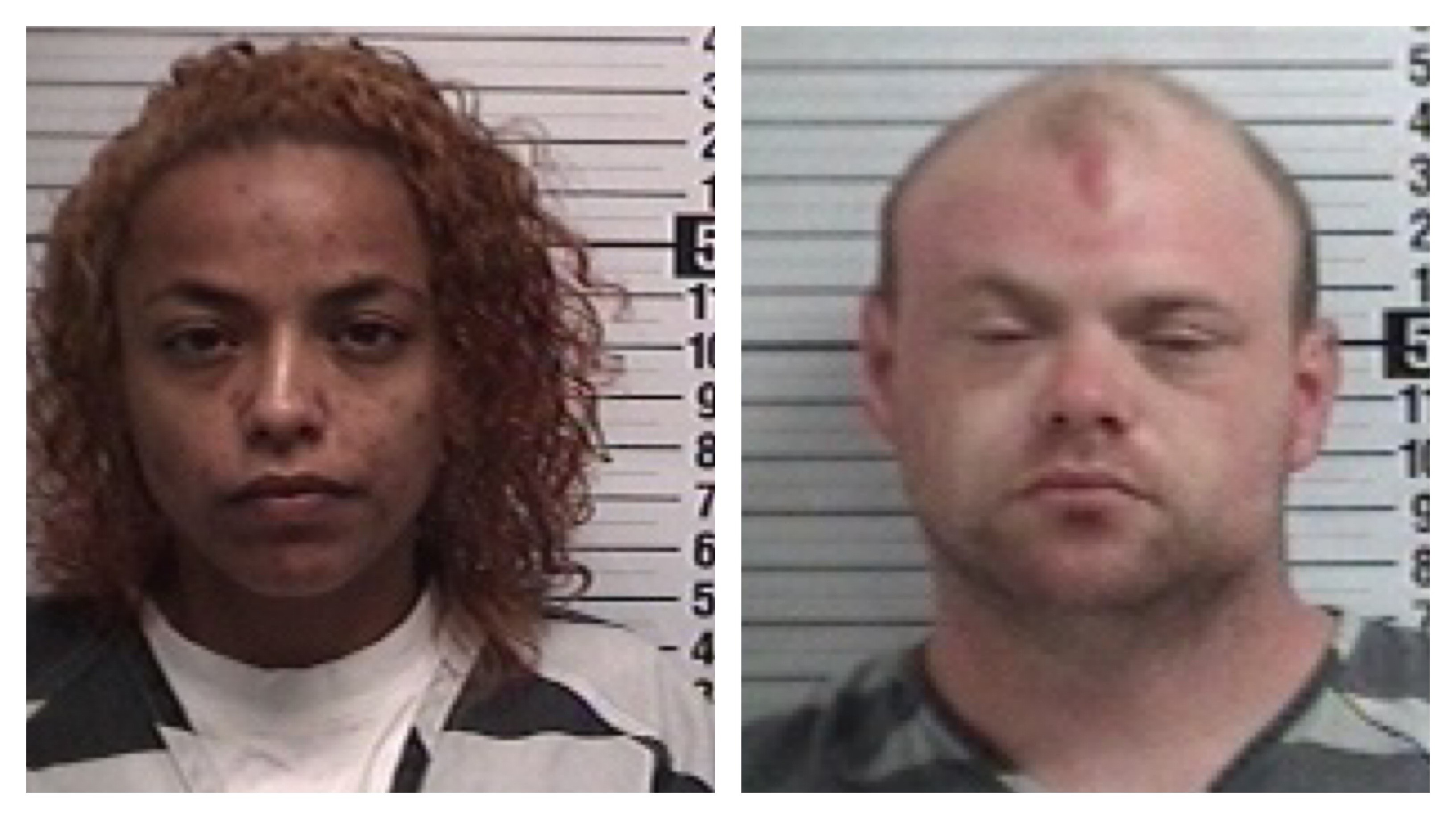 Michelle Rocco's Instagram, Twitter & Facebook on IDCrawl