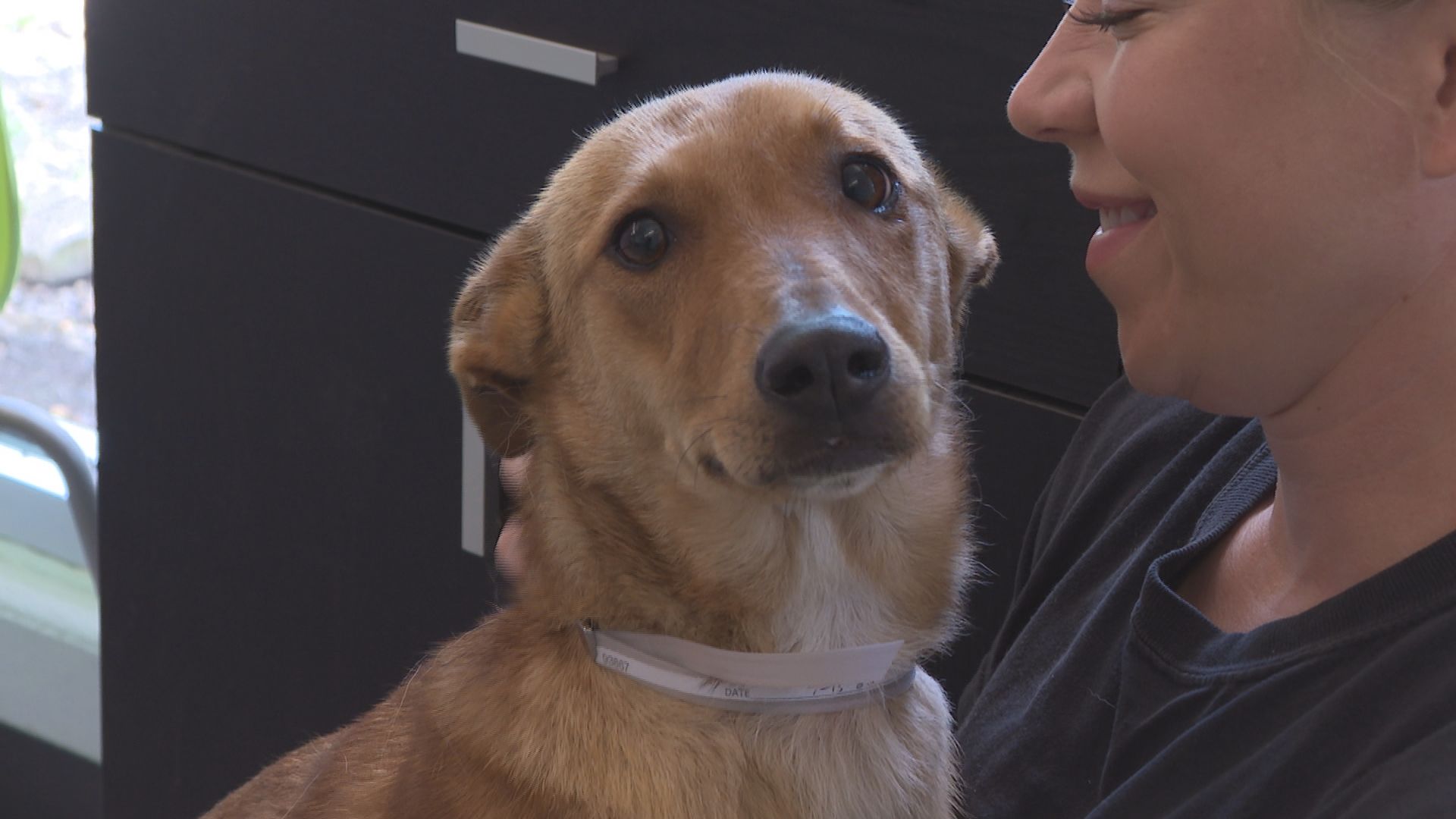 Ian Klein's Instagram, Twitter & Facebook on IDCrawl