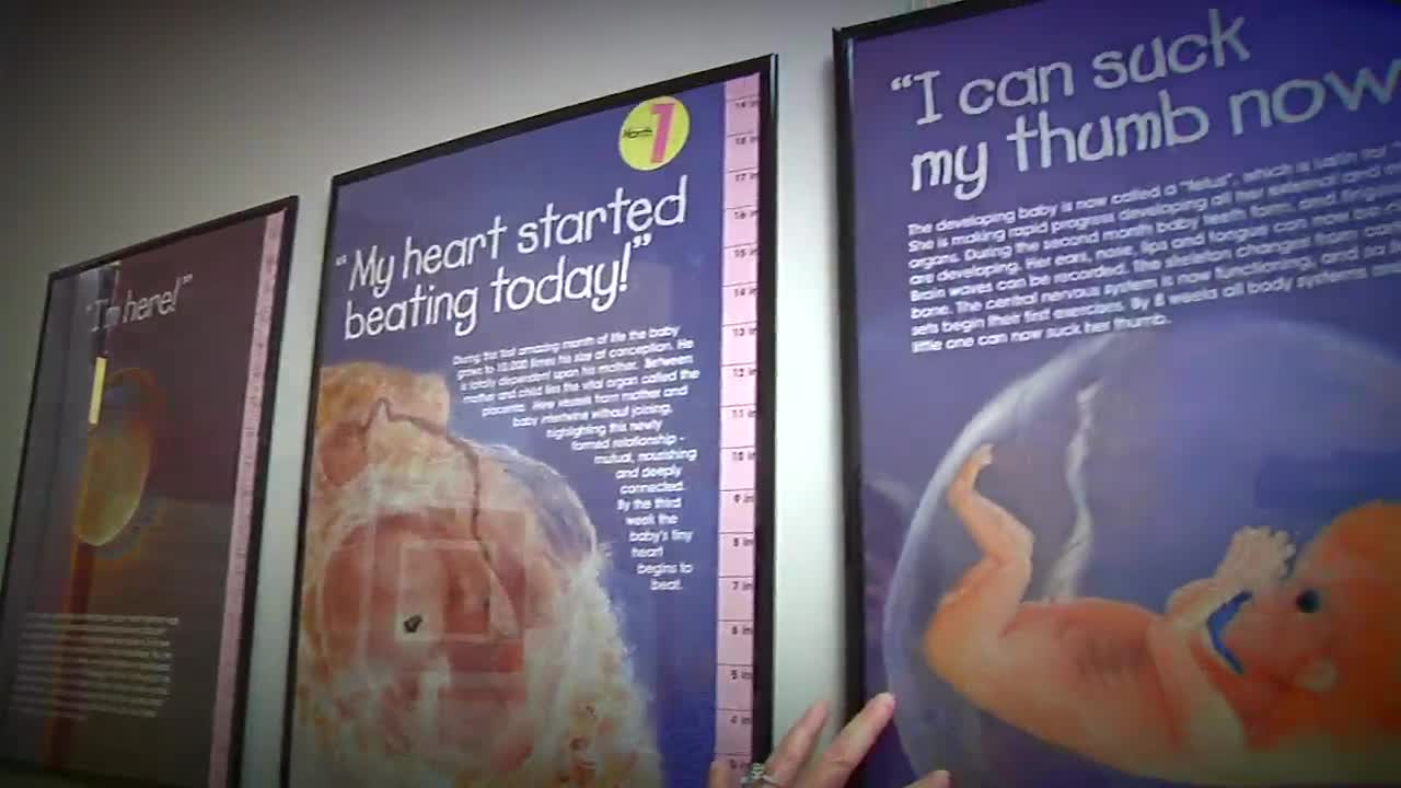 Pro Life Baby Development