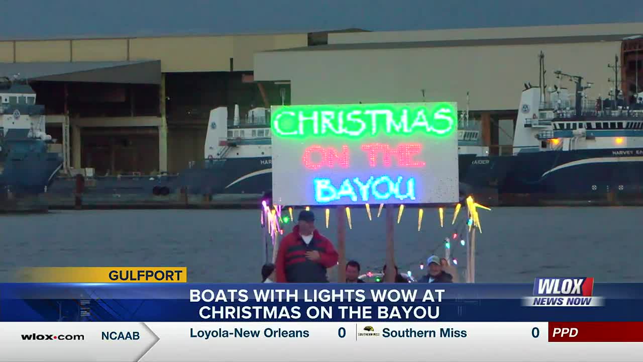 Christmas Lights On The Bayou