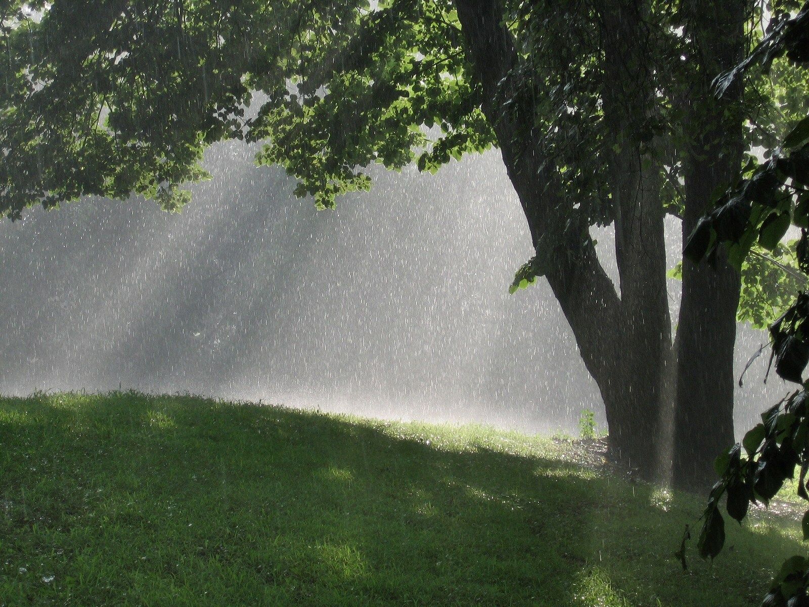 Sun Shining Through Rain It’s Raining While The Sun Is Shining. Is