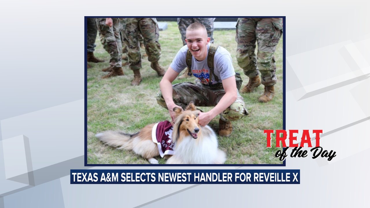 Current Reveille