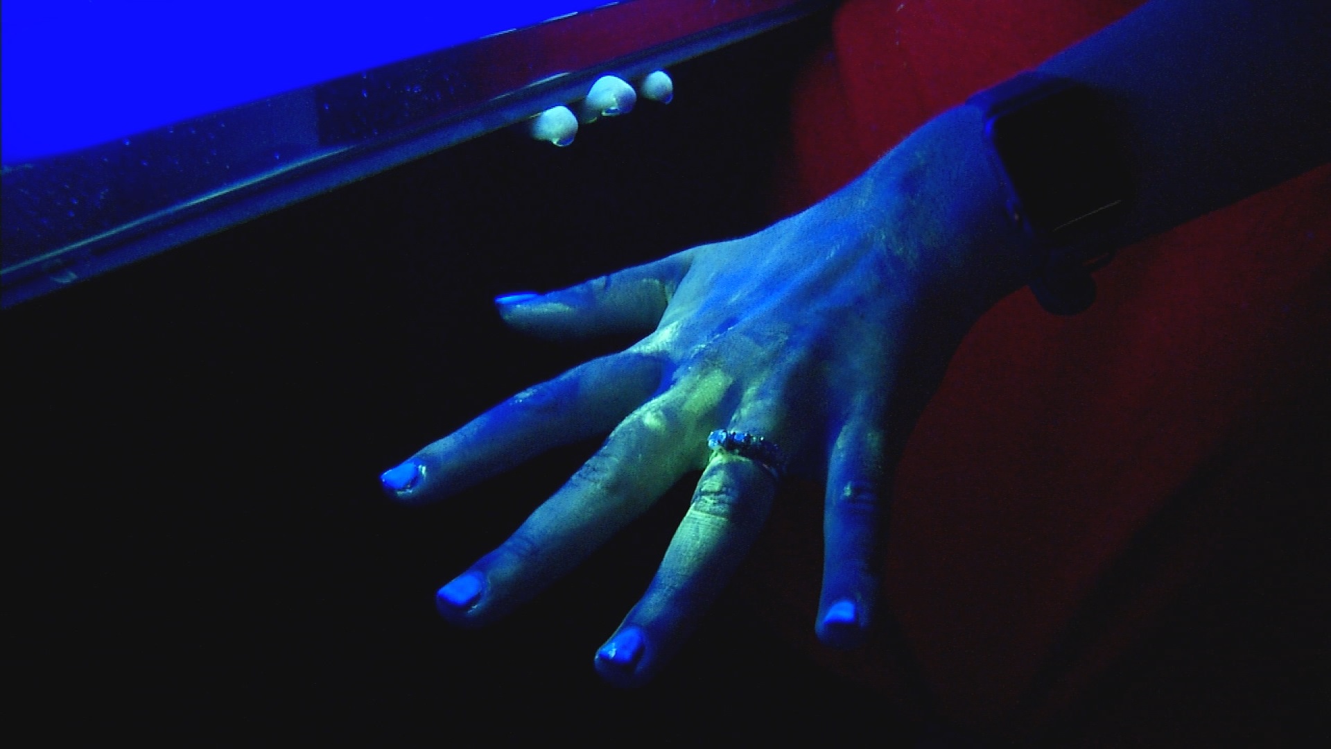 Can Black Light Detect Germs In Water - Infoupdate.org